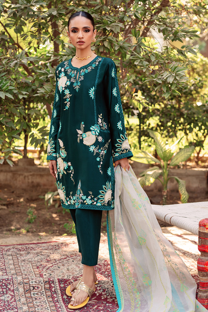 Zeba – Nadia Farooqui